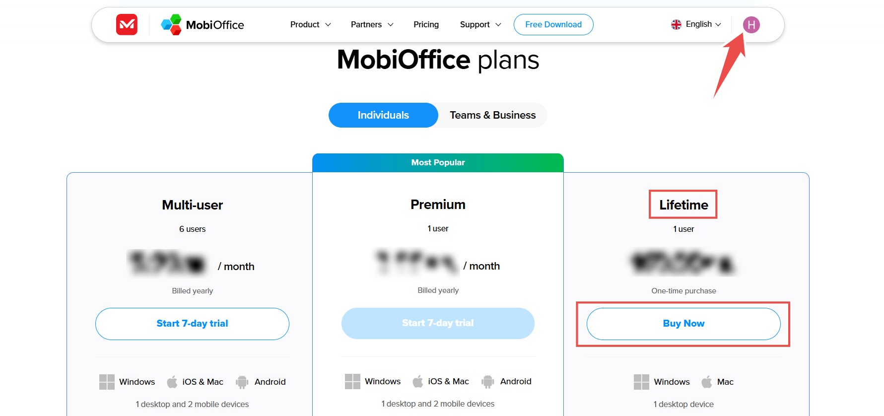 Activate MobiOffice Lifetime on Windows – MobiSystems