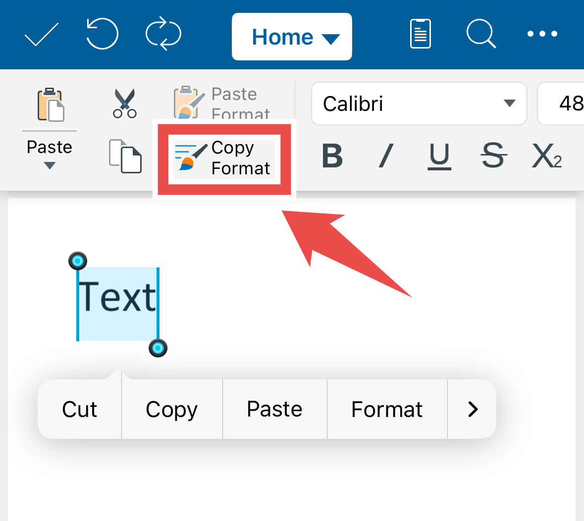Hinzufügen und Formatieren von Text in MobiDocs – MobiSystems