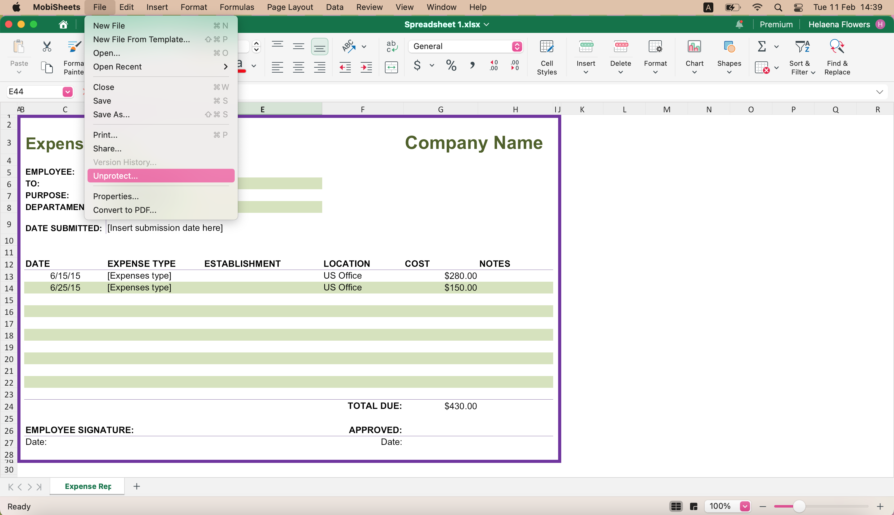 How to Protect a Spreadsheet – MobiSystems