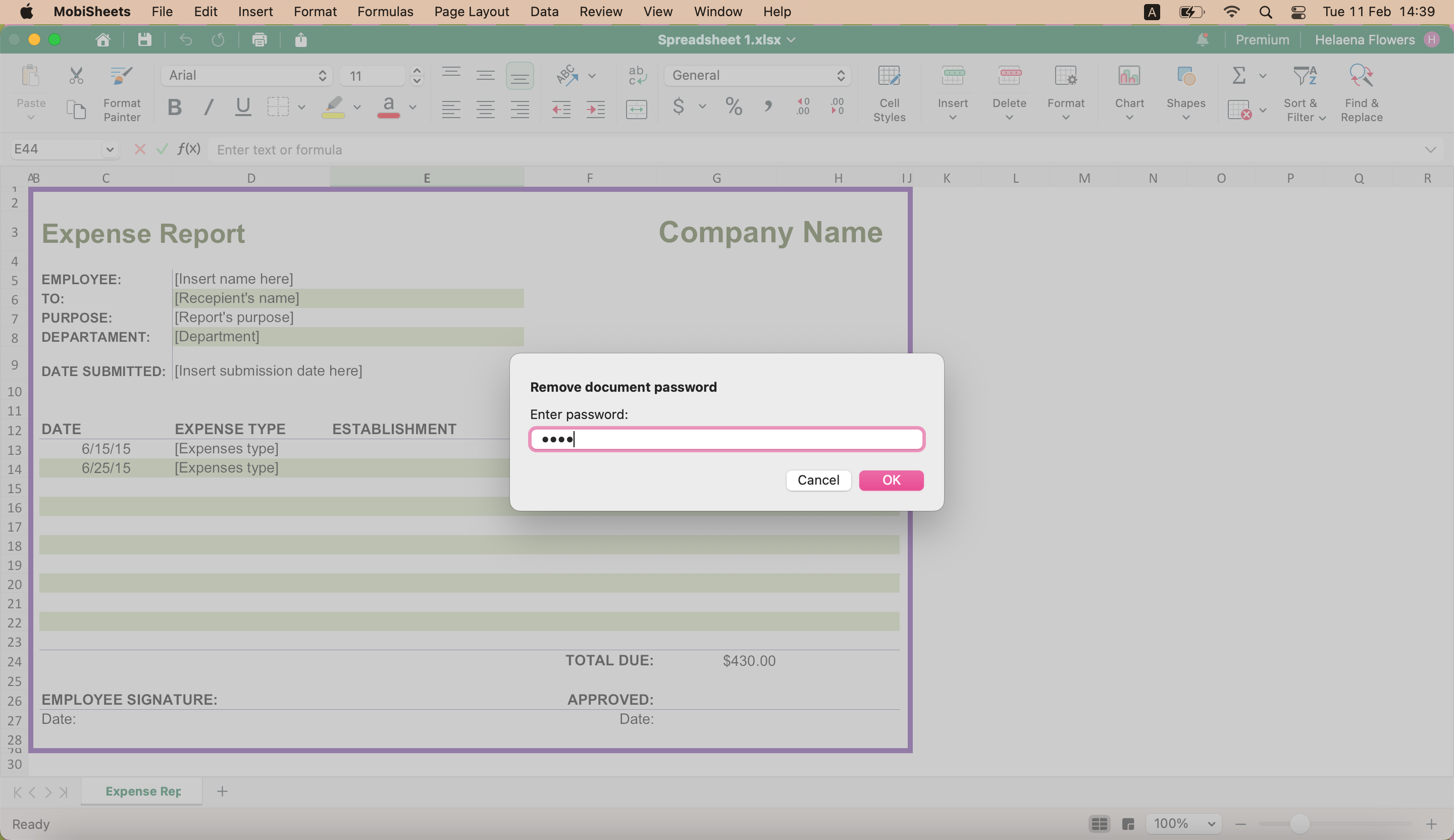 How to Protect a Spreadsheet – MobiSystems