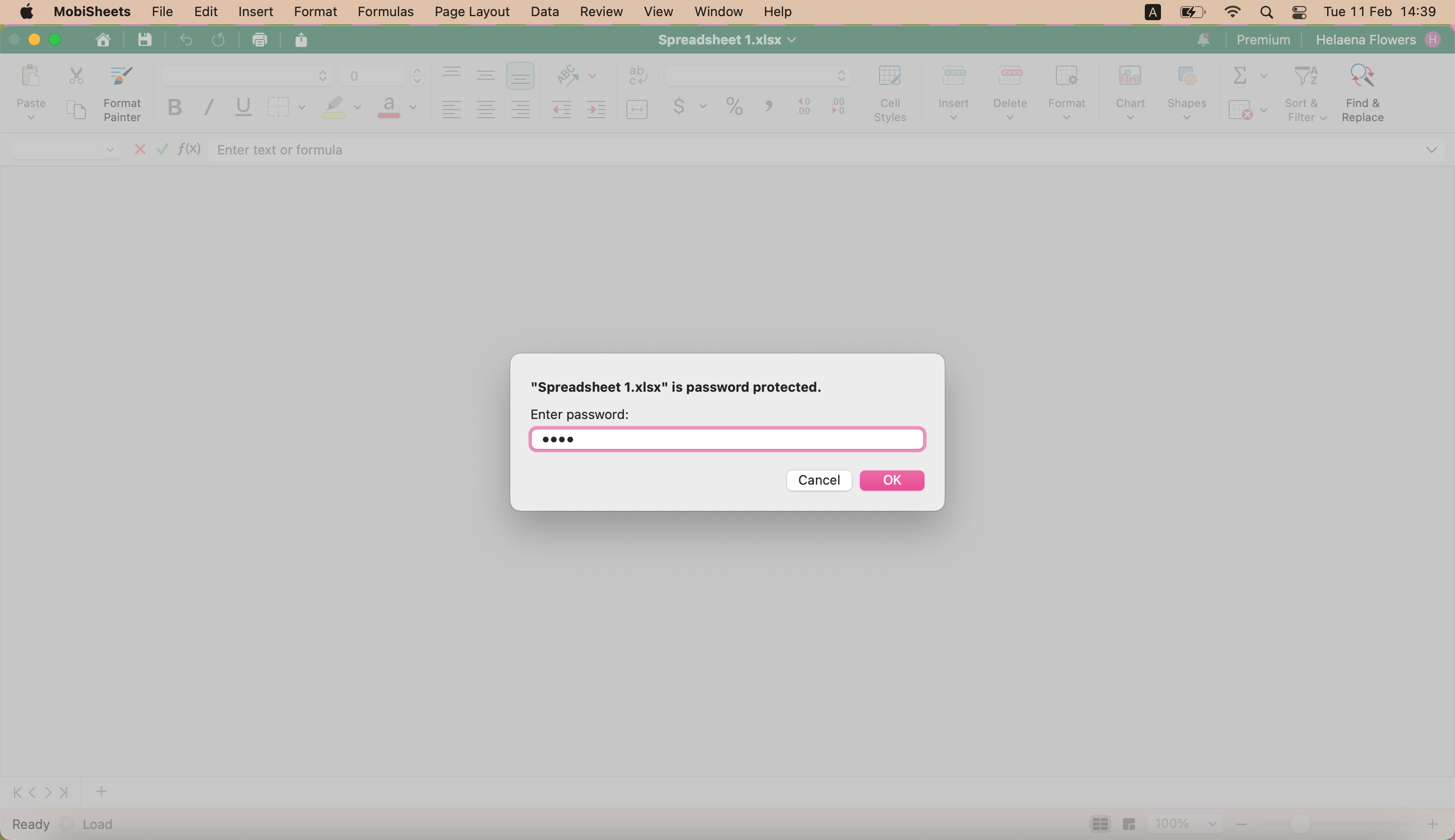 How to Protect a Spreadsheet – MobiSystems